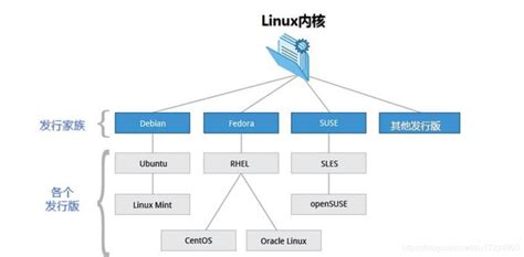 Linux操作系统课堂笔记2【初识linux发展历程】linux版权是谁的 Csdn博客