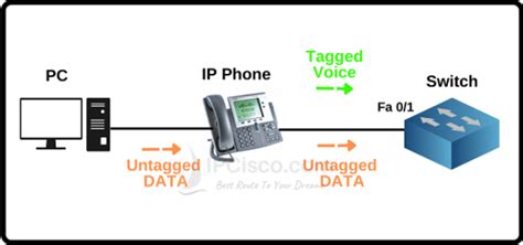 voice vlan configuration ⋆ how to configure cisco vlan vlans
