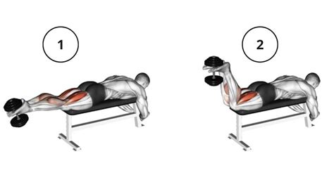 Let Your Back Legs On Fire With Leg Curl Movement Fitness Magazine