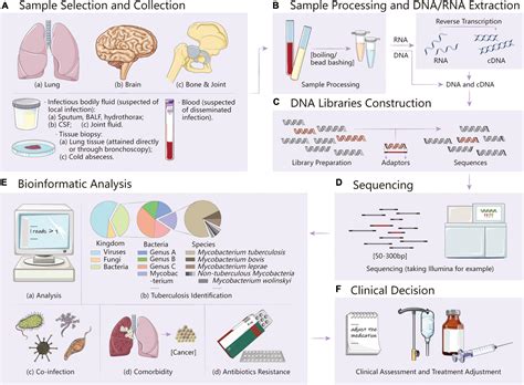Frontiers Application Of Metagenomic Next Generation Sequencing In