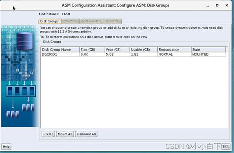 asm udev oracle11gr2 rhel7——3 可视化安装grid asm配置 oracle 11g 单机服务器asm部署 csdn博客