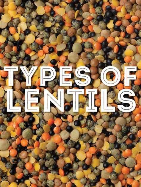 9 Types Of Lentils And How To Use Them Live Eat Learn
