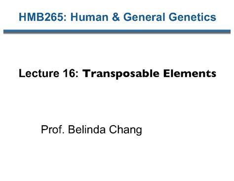 Lecture 16 Transposable Elements 2024 Compressed HMB265 Human General Genetics Lecture 16