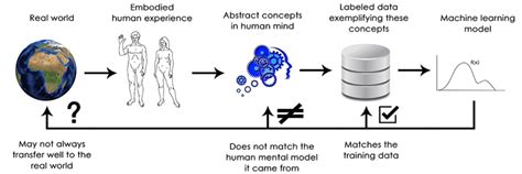 Deep Learning Limitations And Its Future Hari Notes