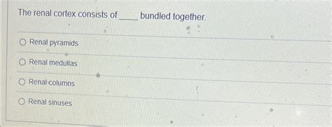Solved The Renal Cortex Consists Of Bundled Togetherrenal