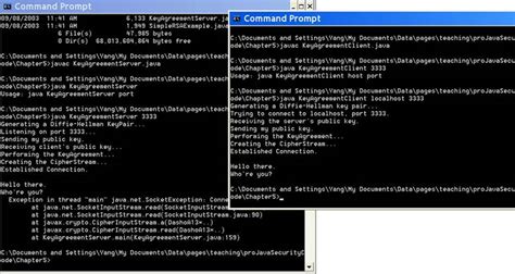 T Andrew Yang Cscicinf 4233 Assignments And Projects