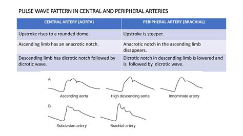 pulse arterial pulse types pptx heart and cardiovascular