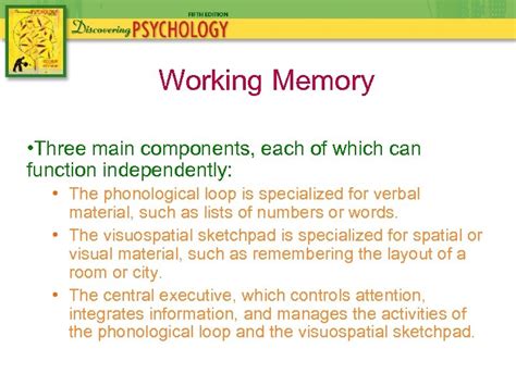 chapter 6 memory stage model of memory