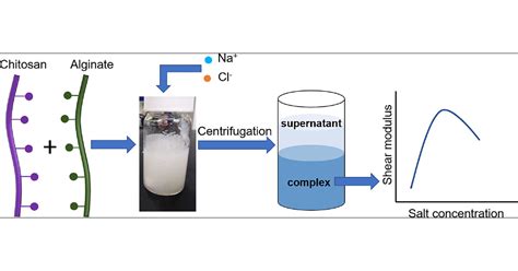 Effects Of Salt On Phase Behavior And Rheological Properties Of