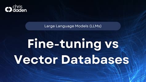 Understanding Llms Fine Tuning Vs Vector Databases