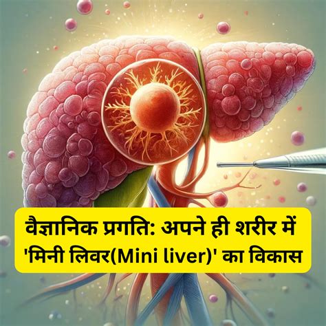 वैज्ञानिक प्रगति अपने ही शरीर में मिनी लिवरmini Liver का विकास Good Vibes Only