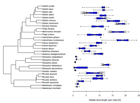 Phylogenetic Tools For Comparative Biology Plotting A Tree With An