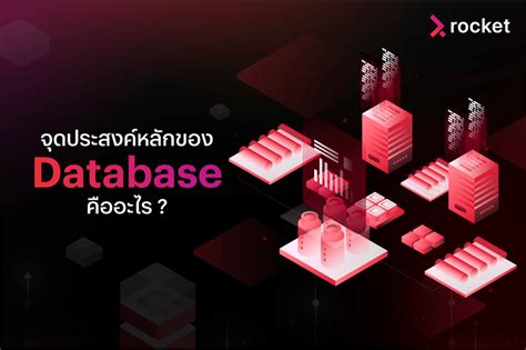 Database คืออะไร ฐานข้อมูลมีความสำคัญต่อธุรกิจหรือไม่