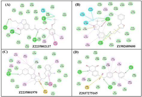 Molecular Docking Analysis Of Pparγ Antagonists For Obesity Associated