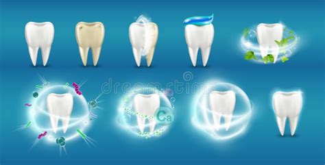 Teeth Protection Toothpaste And Bacteria Effect Stock Illustration
