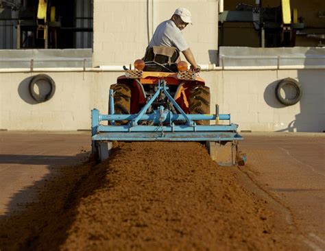 Rooibos Farming And Production Process Klipopmekaar