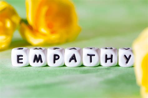 The Interest Based Relational Approach Ibra Welbee Toolkit