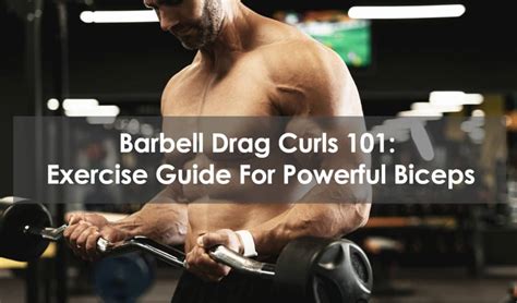 Barbell Drag Curls Exercise Guide For Powerful Biceps