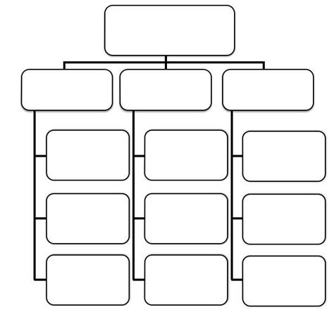 3 1 Organizational Structures Project Management Basics