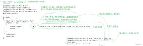 Linux 基础io