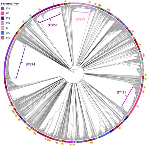 Development And Application Of A Core Genome Multilocus Sequence Typing Scheme For The Health