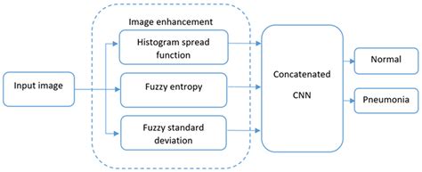 Concatenated Cnn Based Pneumonia Detection Using A Fuzzy Enhanced Dataset