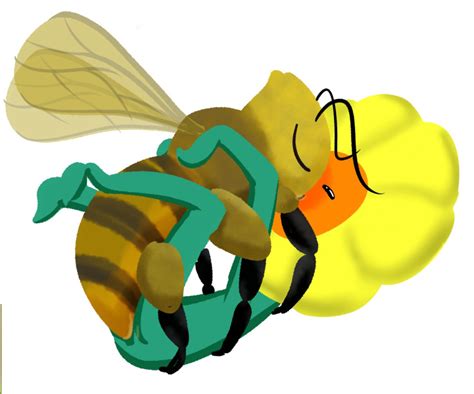 Rule 34 2019 Antennae Anatomy Anthro Arthropod Arthropod Abdomen