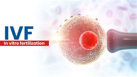 Best Ivf Clinic In Delhi Shivam Ivf Centre