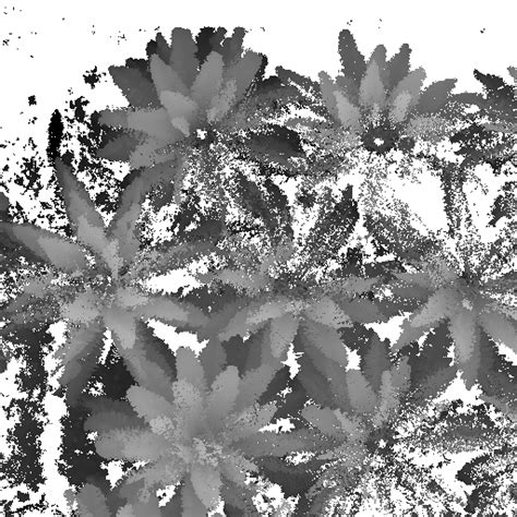 Testing Image Labelling Roboflow Universe