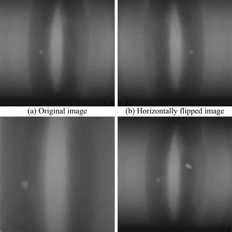 The Images Before And After Data Augmentation A Original Image B Download Scientific Diagram