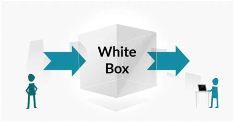 White Box Testing Guide Tools And Techniques Testlodge Blog