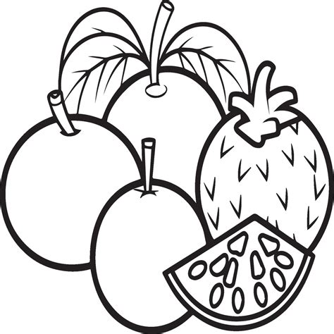 Fruits Coloring Pages For Coloring Book Fruits Outline Vector 41269198