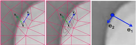Interpolation Schemes A Isotropic Rbf Interpolation B Anisotropic Download Scientific