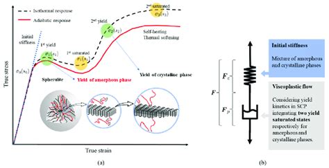 Schematic Diagram Of The Morphological Transformation Of Molecular