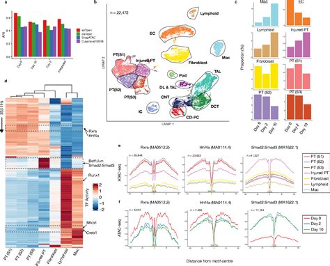 Figure 3 From Chromatin Accessibility Estimation From Single Cell 1