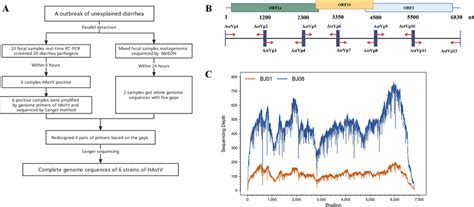 Overview Of Rapid Pathogen Detection And Genome Sequencing Process A Download Scientific