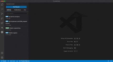 Thunder Client La Alternativa A Postman En Vscode Latirus