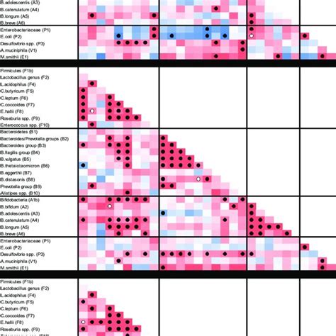 Spearman Pairwise Correlation Map Of Measured Bacterial 16s Rrna Gene Download Scientific