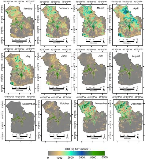 Remote Sensing Special Issue Hydrological Remote Sensing
