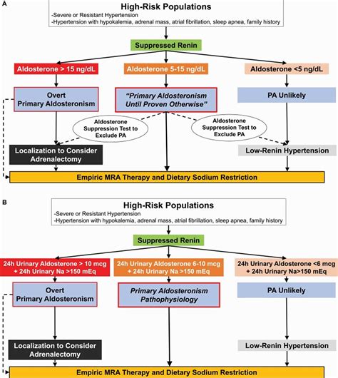 Primary Hyperaldosteronism Causes Symptoms Diagnosis Treatment And Prognosis