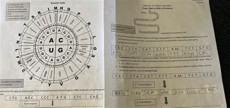 [answered] 1 define genetic code 2 list the stop codons 3 identify the