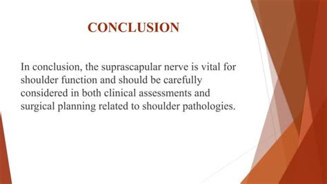 Suprascapular Nerves One Nerve Of The Brachial Plexus Ppt