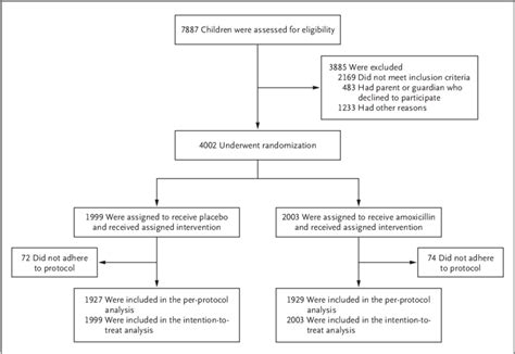 Screening Randomization And Analysis Download Scientific Diagram