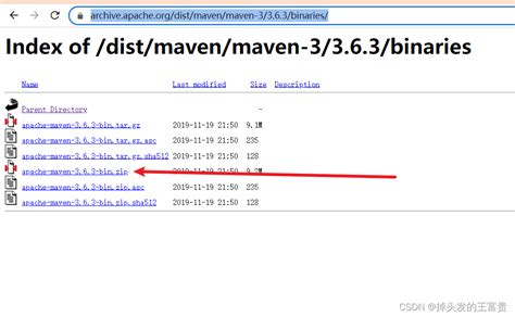 windows安装maven（图文解说详细版）（上） 阿里云开发者社区