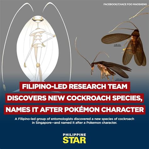 Bro Why Mum There Was A Pheromosa In The Bathroom Creditphilippine
