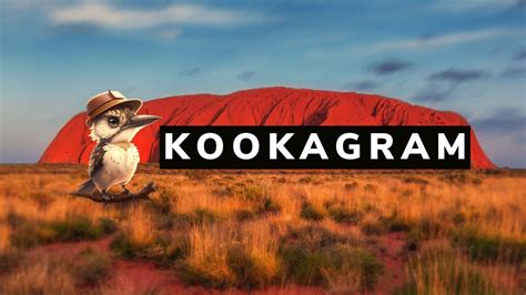 github loftwah kookagram kookagram is an open source social media