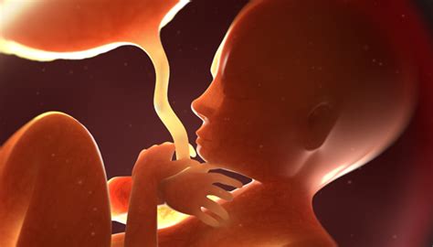 Medical Interactive Community