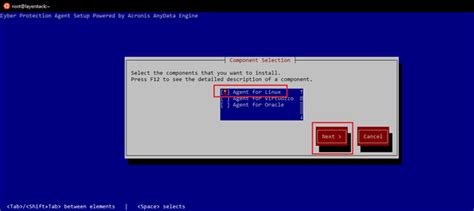Layerstack Tutorials Layerstack How To Install Acronis Backup Agent On Linux Cloud Servers
