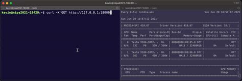 Deployment Using Deepspeed Inference Issue Microsoft DeepSpeed GitHub