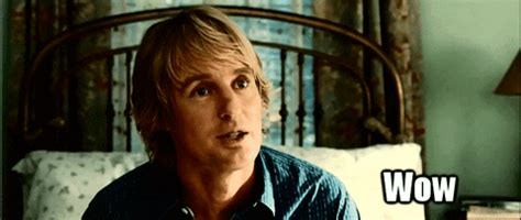 Wow By Owen Wilson 